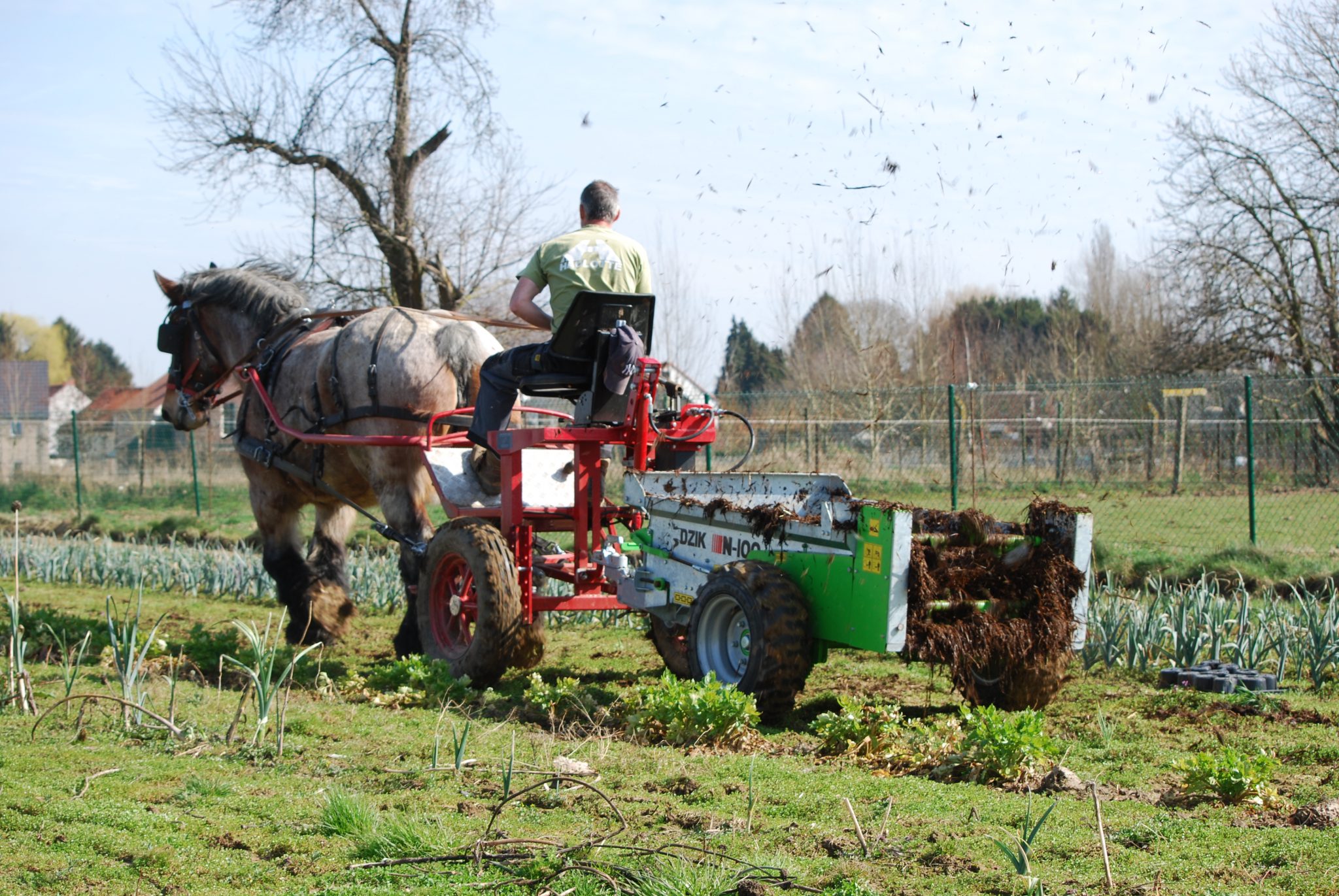 Le cheval Agro-maraîcher – Comité Européen du Cheval de Travail
